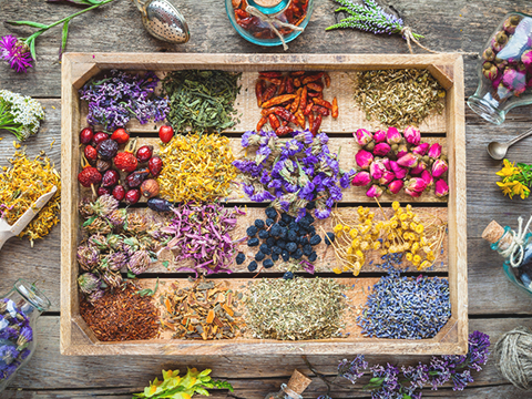 Herbal - Beauty Journal