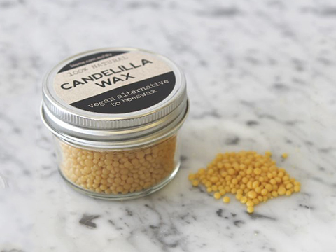 Candelilla Wax - Beauty Journal
