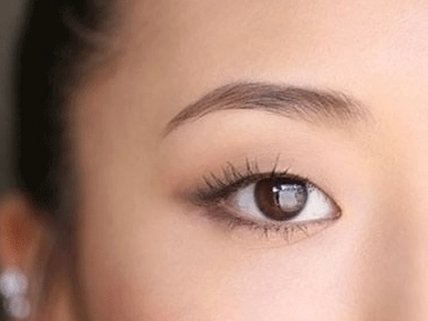 Monolid - Beauty Journal