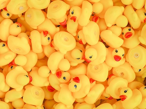 Phthalates - Beauty Journal