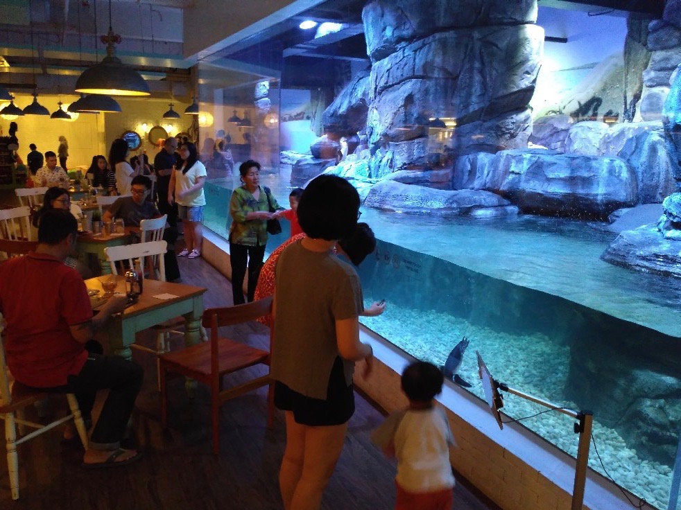 Bosan Makan Sendirian? Coba Sensasi Makan Bersama Binatang Lucu Di 5 ...