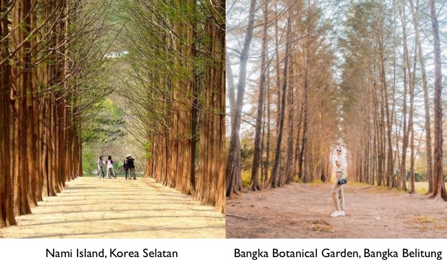 Tak Kalah Memesona, Berikut 5 Lokasi Wisata di Indonesia yang Mirip ...