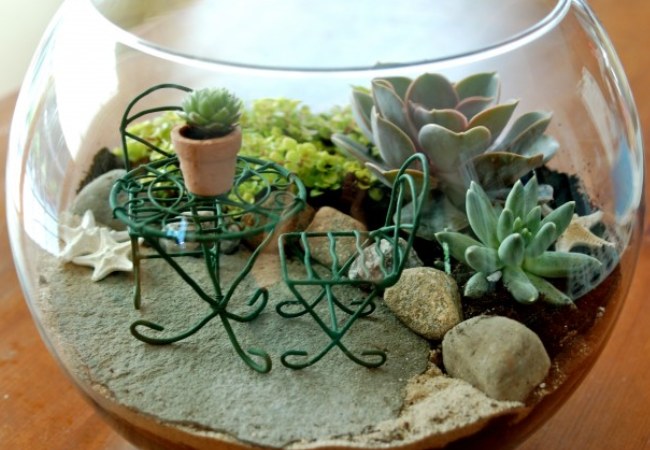Mengenal Terrarium, Seni Menanam yang Memiliki Berbagai Manfaat bagi ...